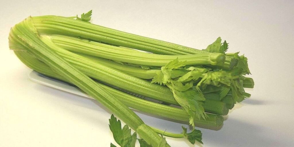 4 Características del Apio en Dietética Tradicional China - Medicina ...